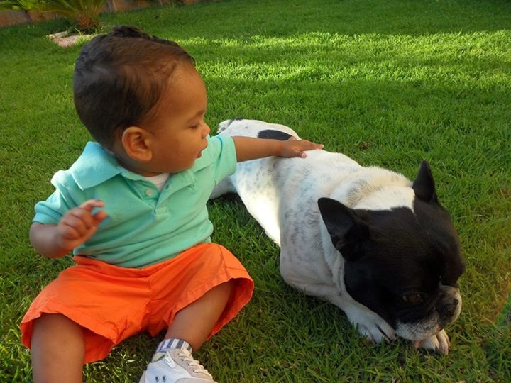 my revista: Beneficios de tener una mascota