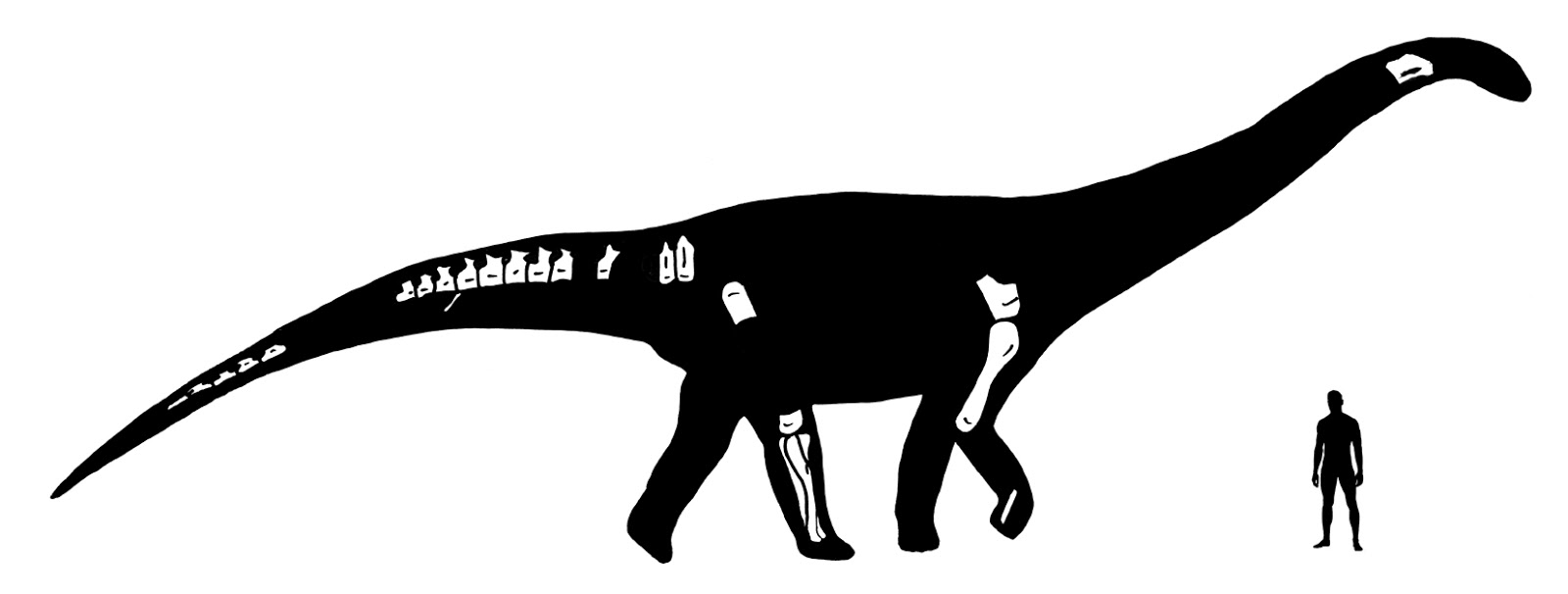 Equatorial Minnesota: Your Friends The Titanosaurs, part 21: Nullotitan ...