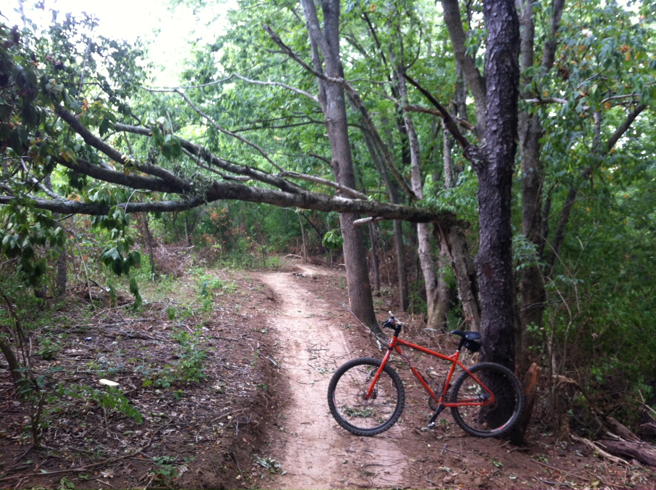 family//bike//words: Trail Storm Damage