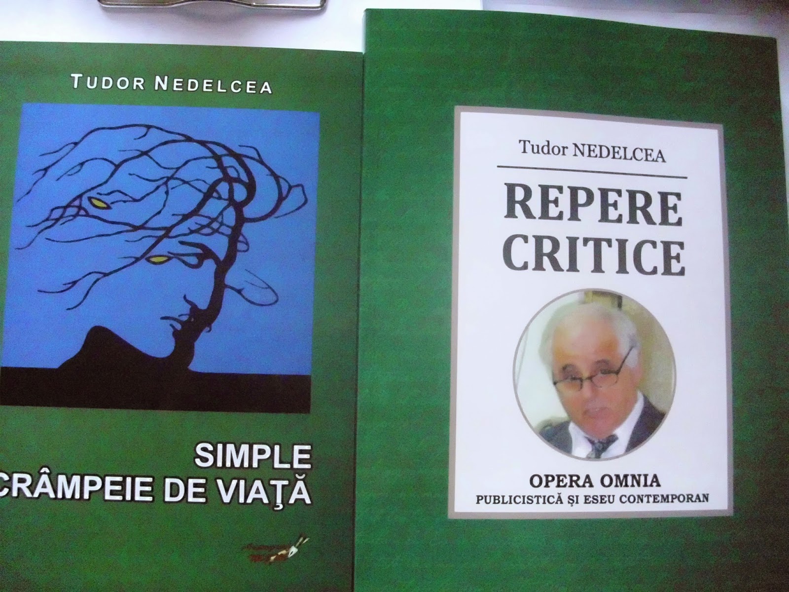 Blogul lui Tudor Nedelcea: martie 2015