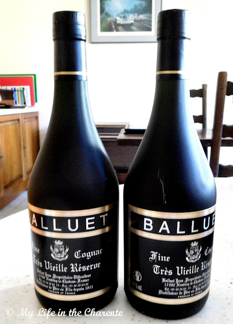 My Life in the Charente 2