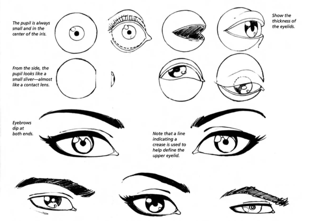 El blog de Will No Name: Tips para dibujar Rostros estilo Cómic