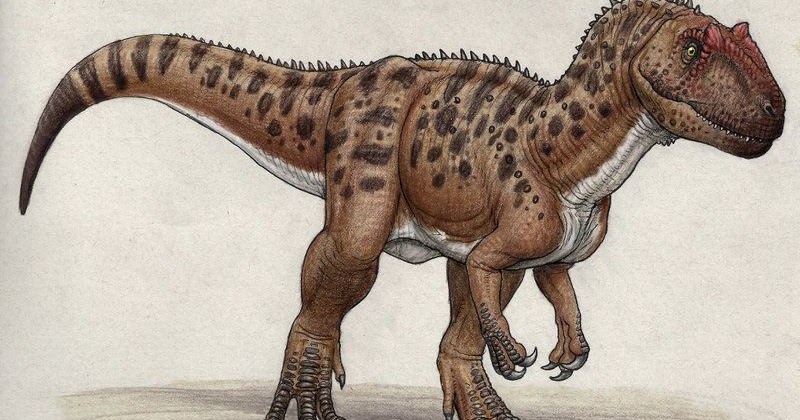 the koalabeast chronicles: Dino of the Week: Piatnitzkysaurus