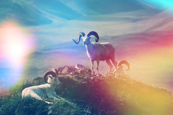 Potoshop Tutorials: Lomo Light Leaks