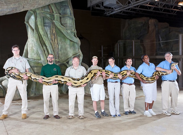 Amazing Look World : RECORD - Snake with a Foot Discovered Record