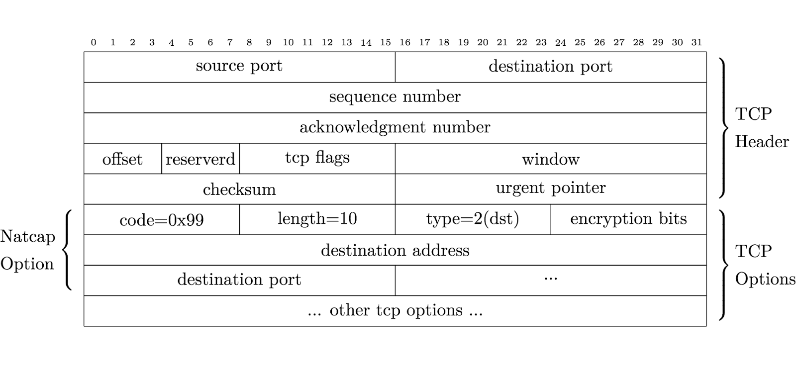 PTPT52工作室: Natcap 转发代理协议介绍