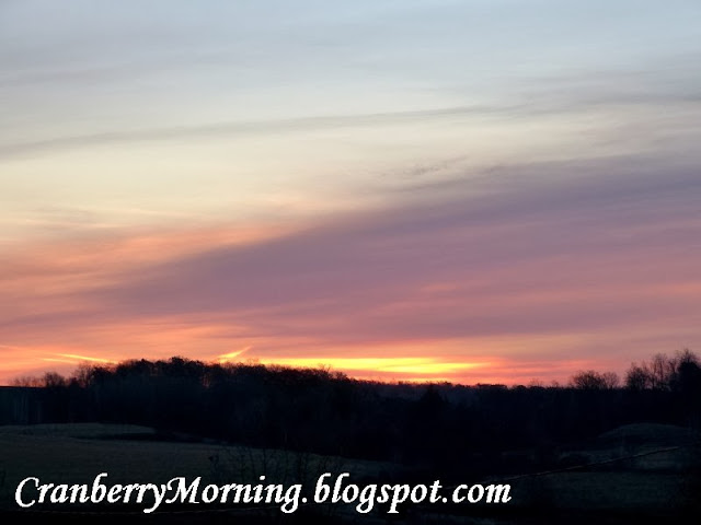 Cranberry Morning: Sunrise Sequence, a November Morning