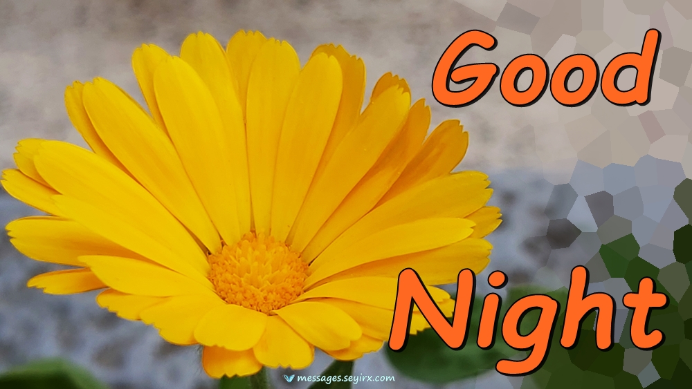 Good Night Images, Yellow flowers - HBDAY.ART