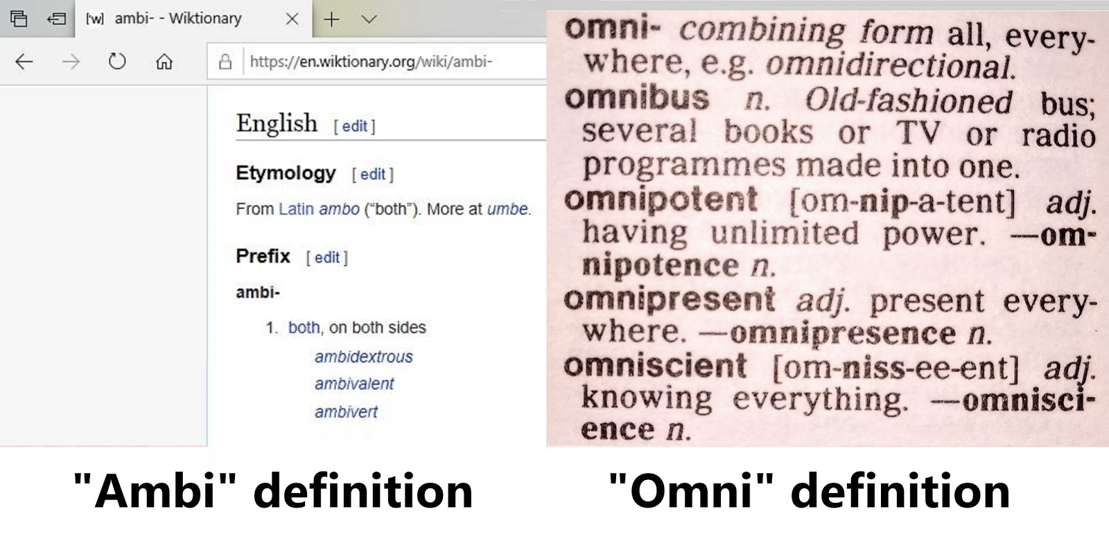 James Robins' Art & Design: Omnivert Personality