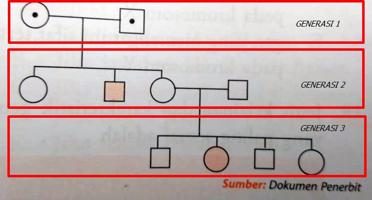 Jumlah generasi pada gambar tersebut adalah....