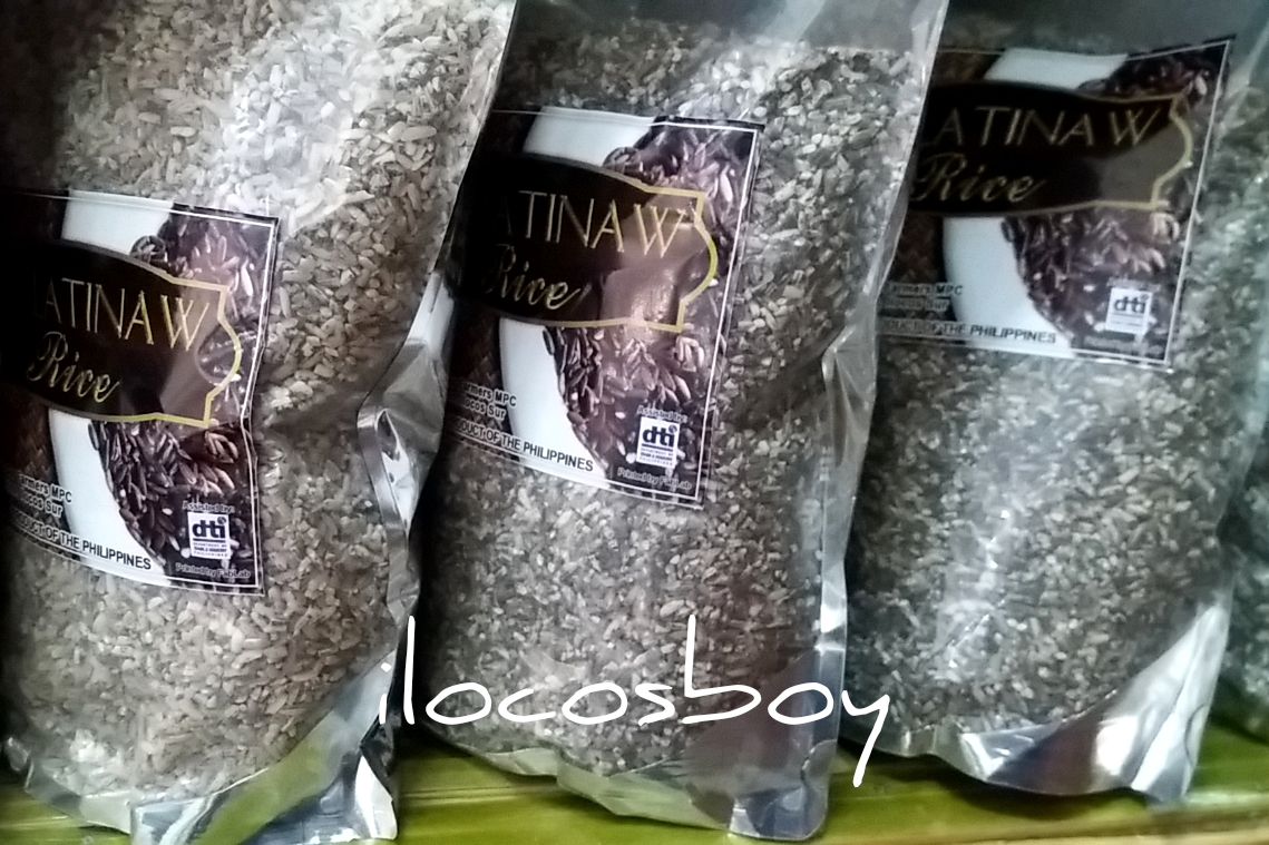 Ilocos: 5 COLORS OF THE RICE