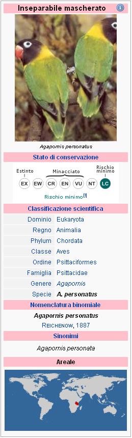 AP: About Parrot allevamento pappagalli: L'inseparabile mascherato ...