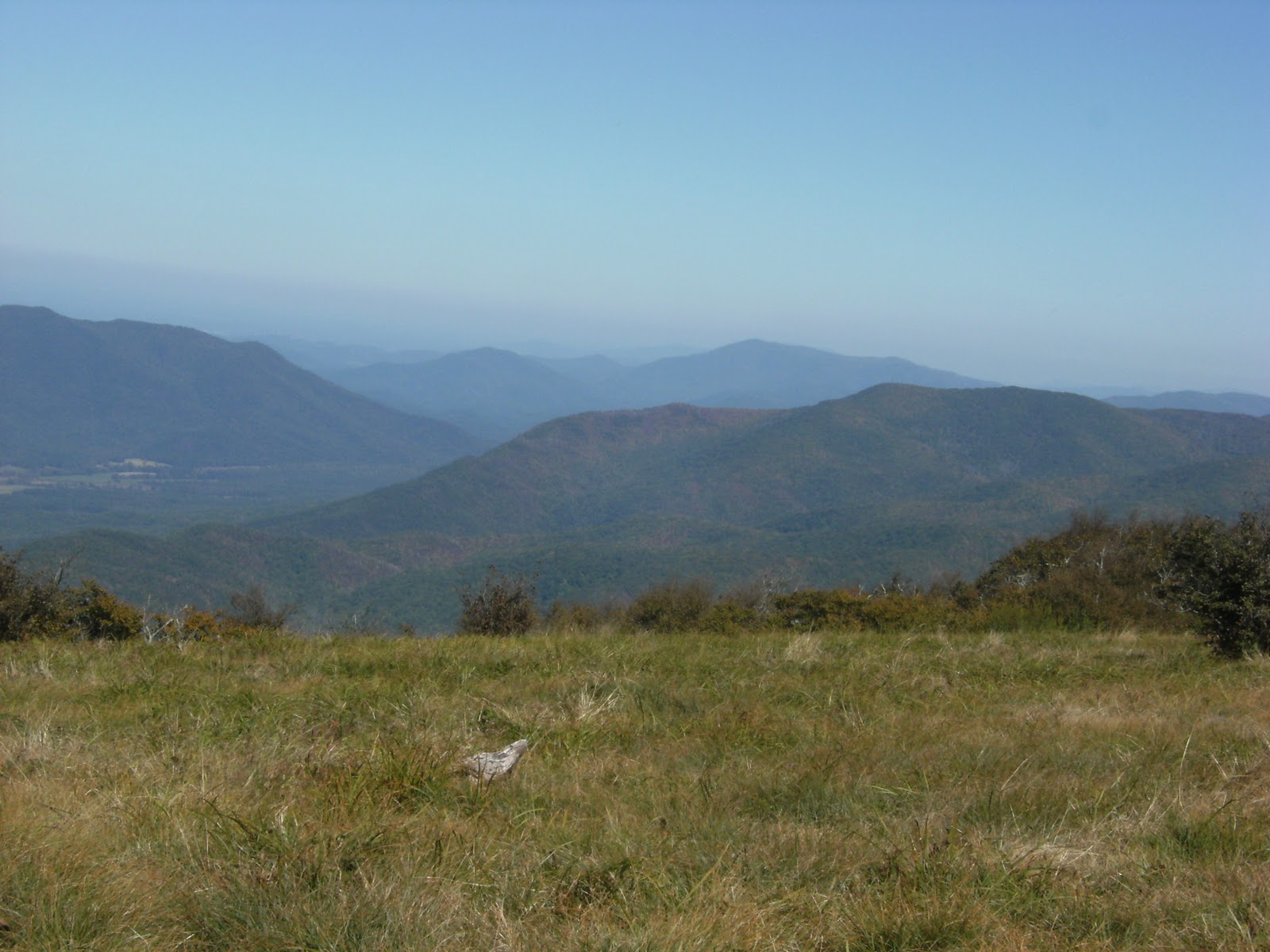 GSMNP - HIKER: Hike to Gregory Bald in the GSMNP