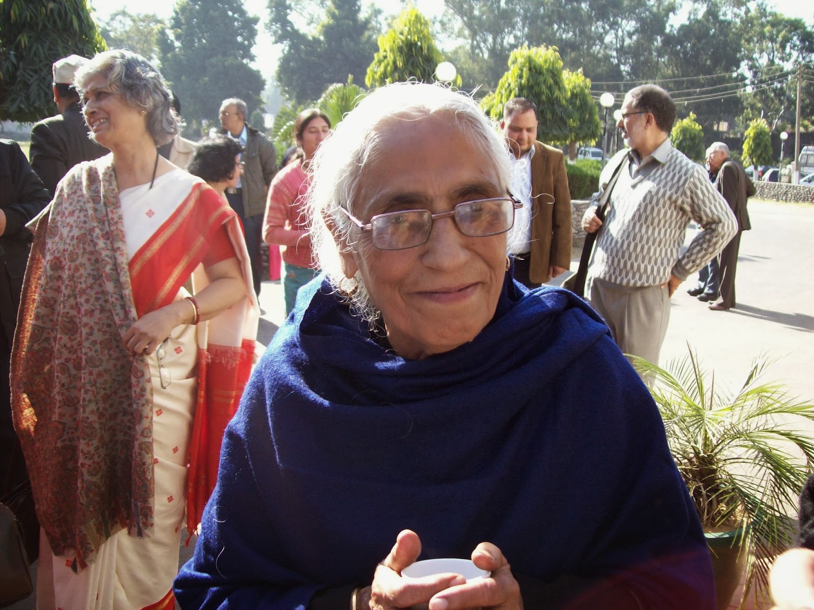 CHINAR SHADE : DR.VED KUMARI GHAI :SCHOLAR EXTRAORDINARY FROM JAMMU AND ...