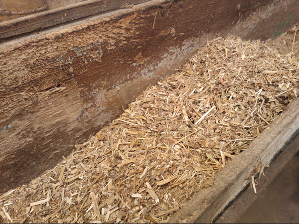 COMPLETE FEED UNTUK TERNAK POTONG | LiveStock96