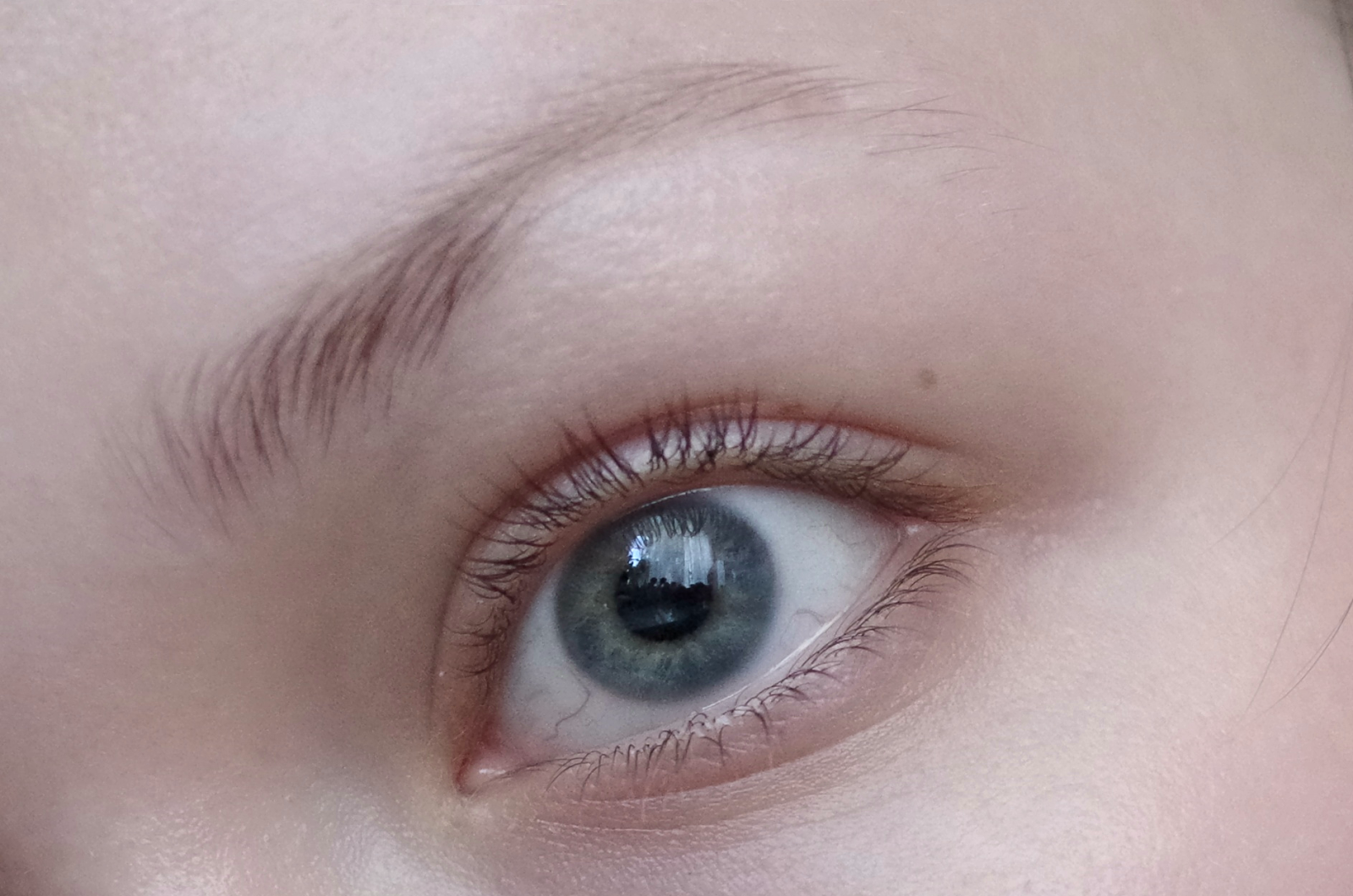 the house of care: Serum 4 Long Lashes - początek mojej kuracji brwi i ...