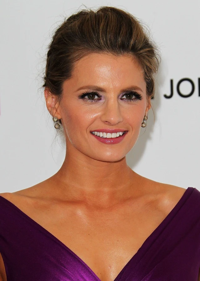 Stana Katic looks gorgeous in purple at the 20th Annual Elton John Aids ...