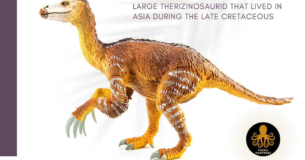 FOSSIL HUNTRESS: THERIZINOSAURUS: CRETACEOUS SCYTHE LIZARD