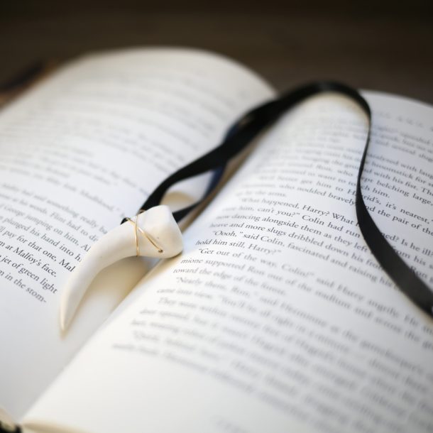 Author Robin King, Blog: Unique Harry Potter Gift Ideas