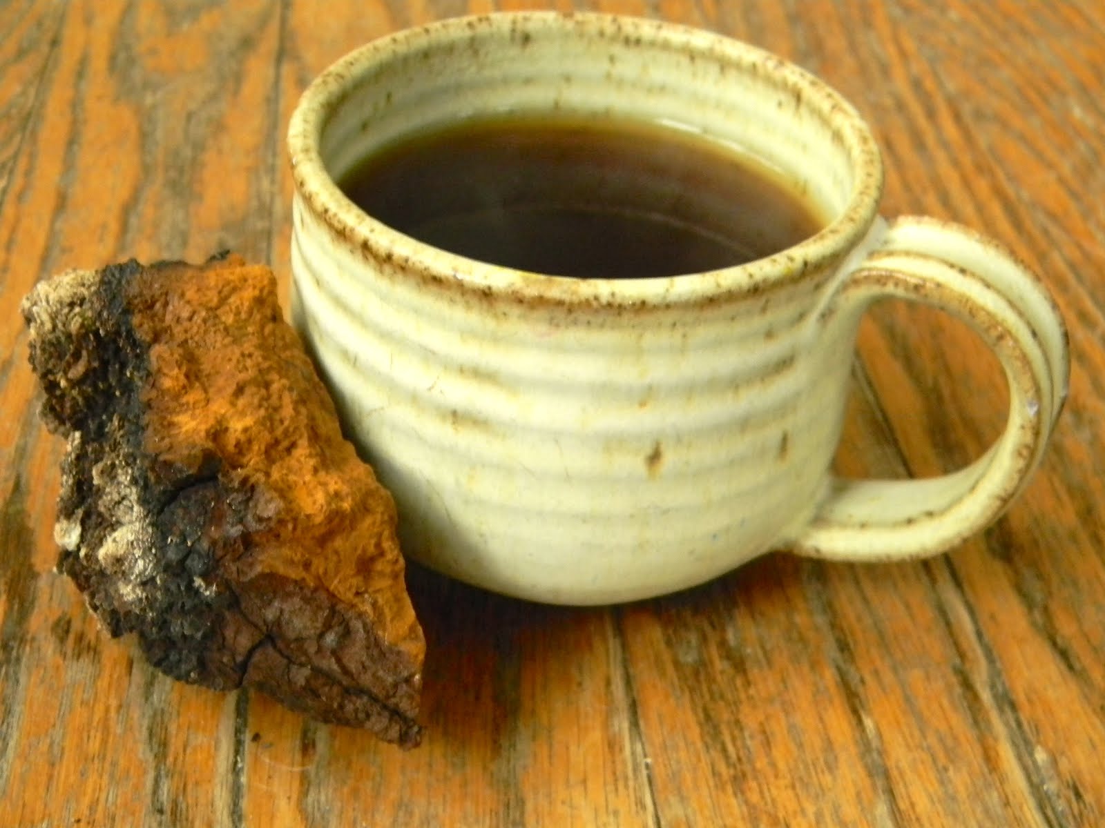 How to Harvest and Process Chaga Mushroom