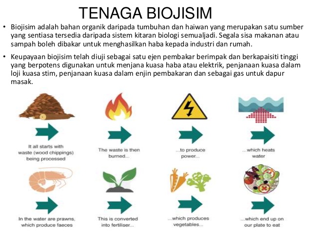 TENAGA BIOJISIM : APA YANG KITA PATUT TAHU. ~ BICARA TENTANG TENAGA