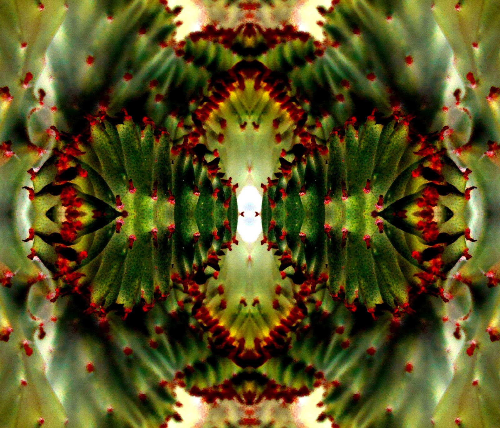 MarianneDowFoto Blog - Art Photography by Marianne Dow: Psychedelic ...