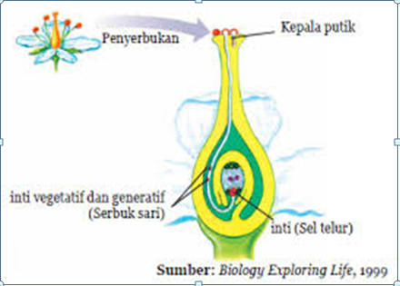 Biologi Hasballah Bireuen: Januari 2017