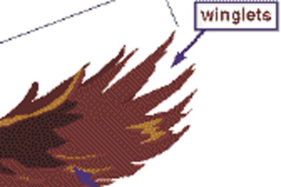 Stem Biomimicry Eagle Winglets : biomimicry Eagle Winglets