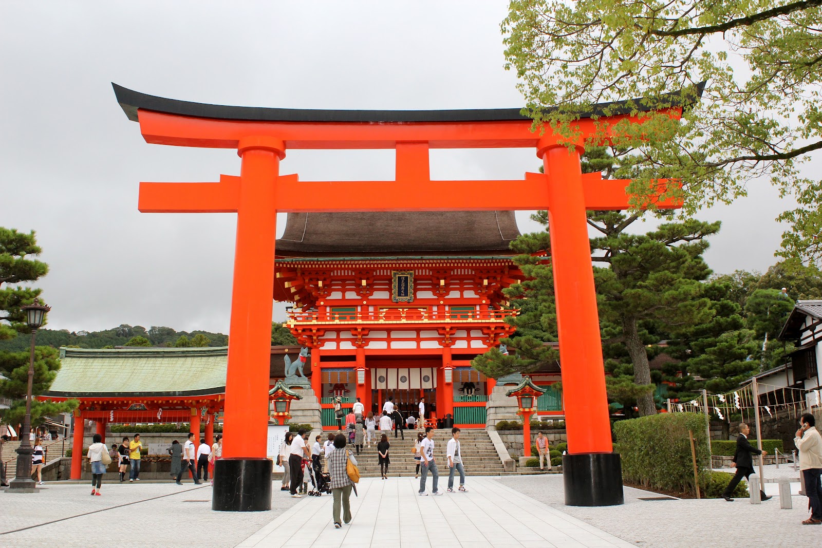 Midwest to South Korea: Torii torii torii