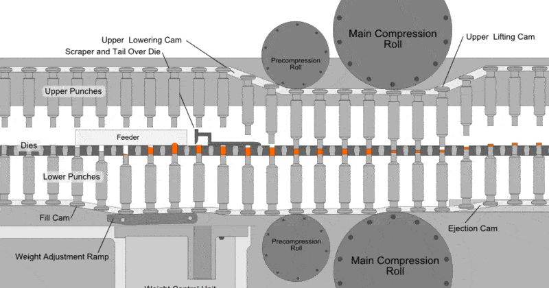 Working and Principle of Tablet Compression Machine : Pharmaceutical ...