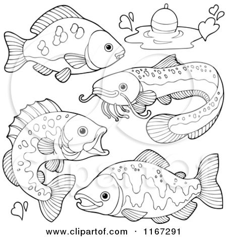 Freshwater Fish Coloring Pages - Coloring Pages