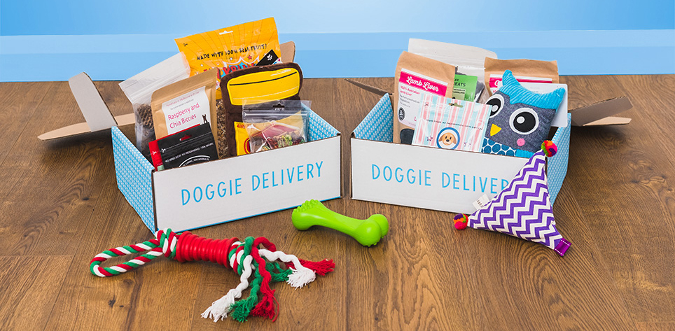 Doggie Delivery Dog Subscription Box - Review | Australian Dog Lover