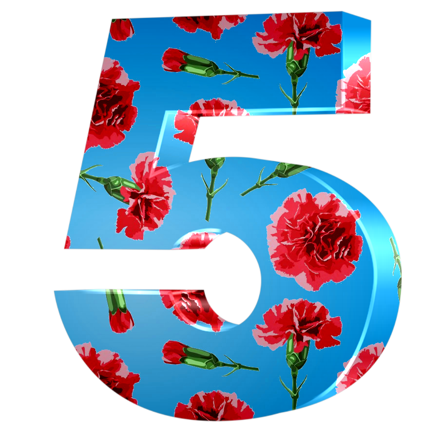 Monica Michielin Alphabets: BLUE RED CARNATION FLOWER ALPHABET LETTER ...