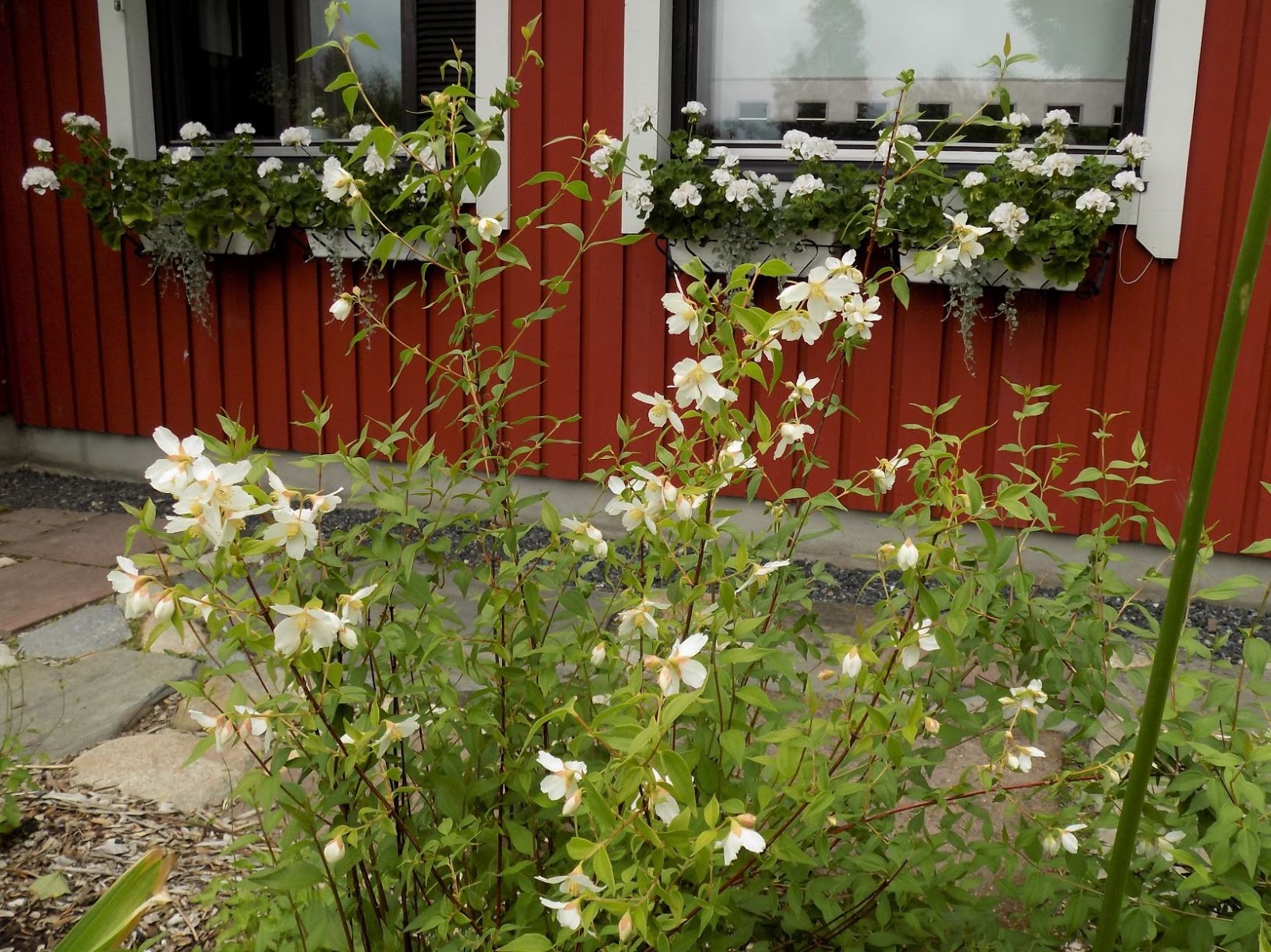 Hiidenkiven puutarhassa: Kukista kommelluksiin