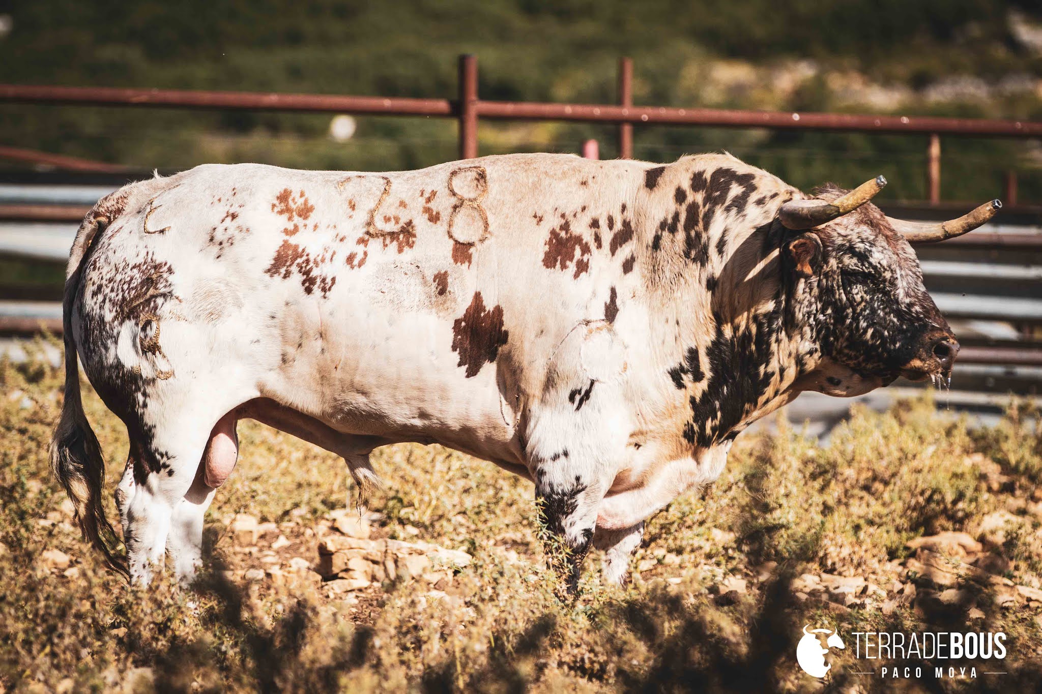 LOS DE LA CARRASCA SIGUEN ESPERANDO SU DESTINO