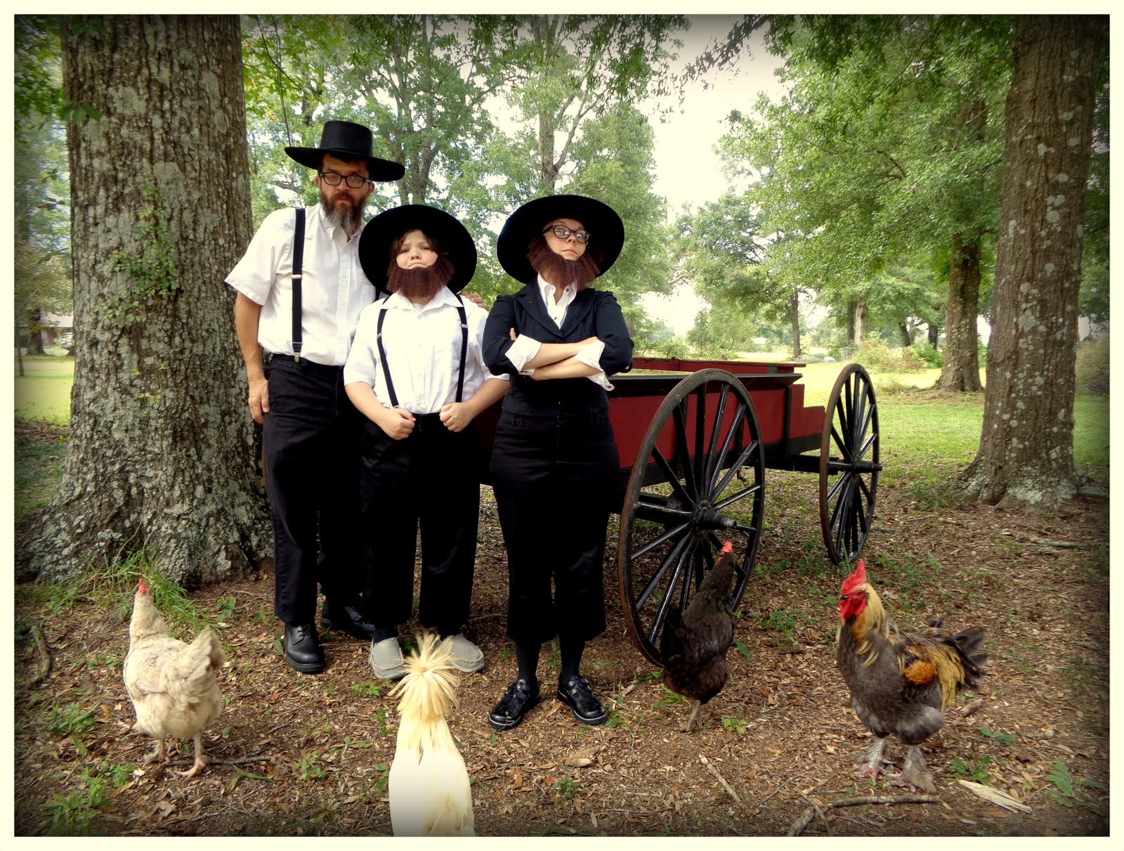 *~my house is cuter than yours~*: Amish Paradise