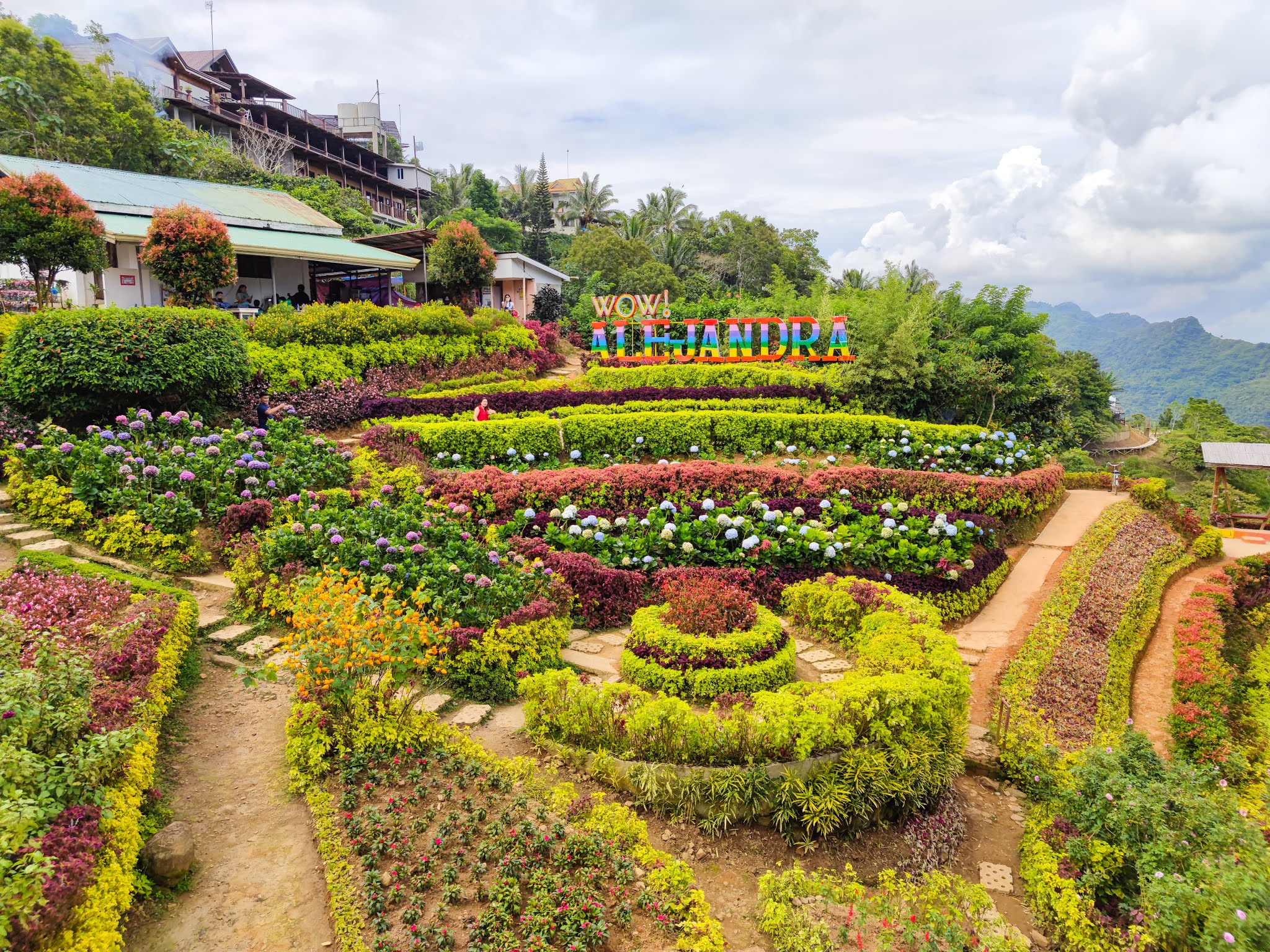 Alejandra: The Instagram-Worthy Flower Garden in Cebu - The Pinoy Traveler