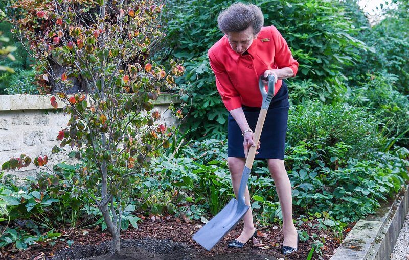 Princess Anne attended the celebrations of the 75th anniversary of UNESCO