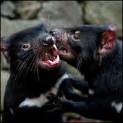 Zenosaurus: John Tarrant's Course in Koans: 14 When Something Confronts ...