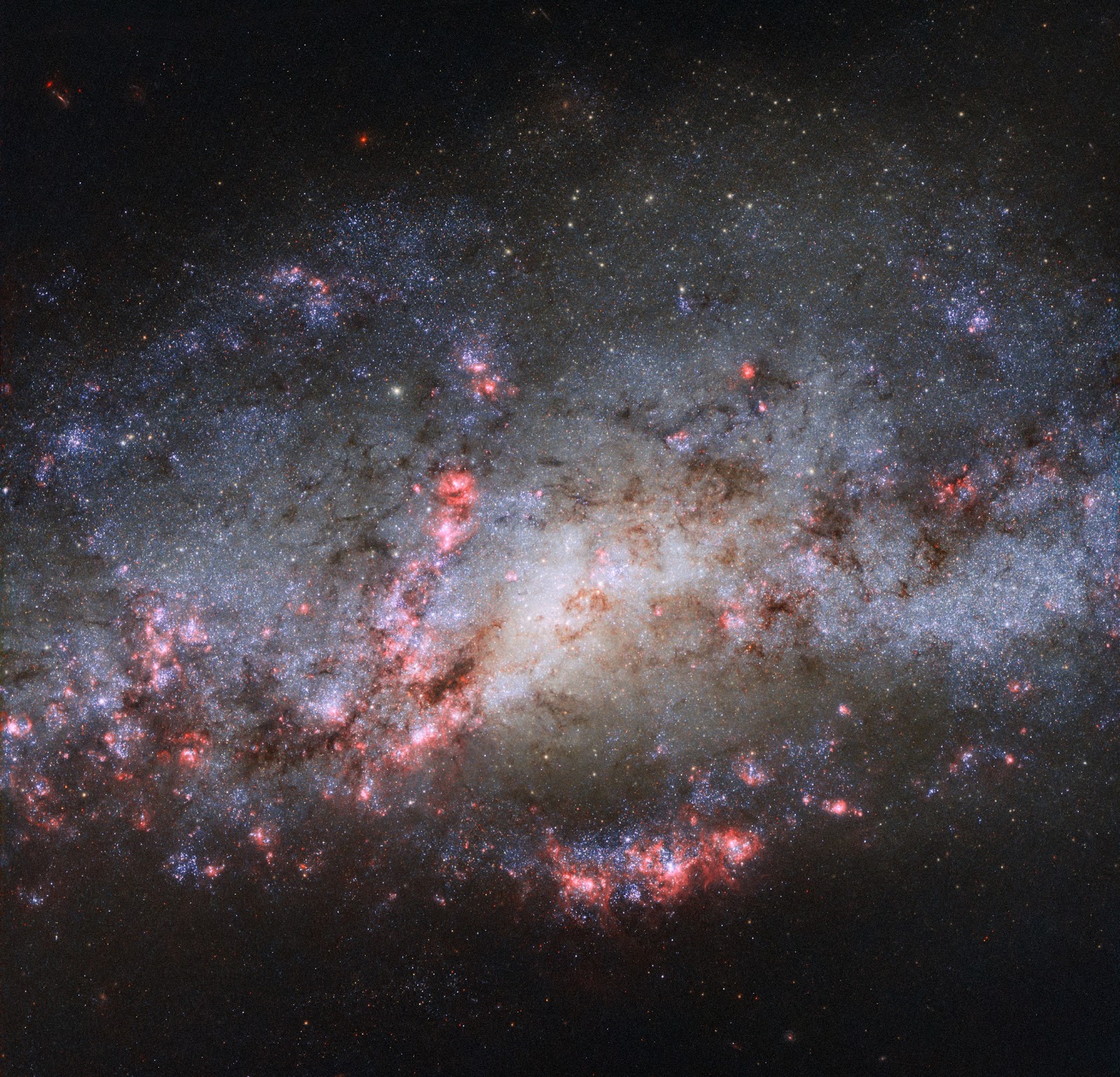 Spiral Galaxy NGC 4490 | Earth Blog