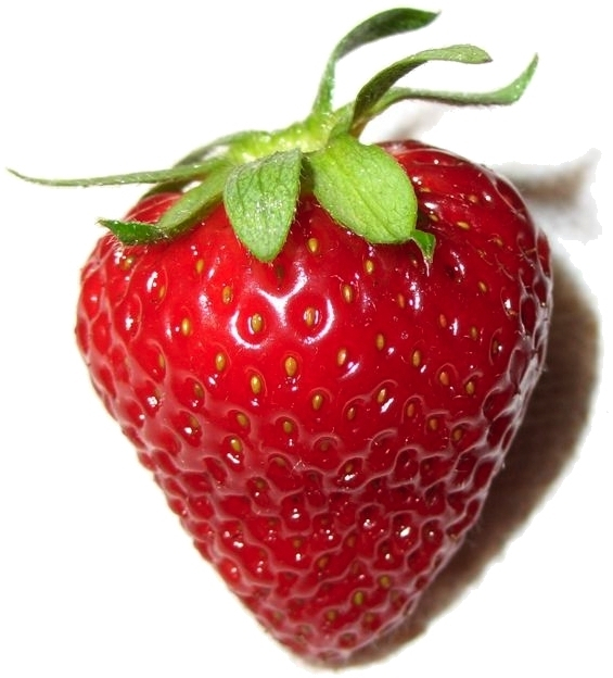 BEDWarrior: Oh, the Mighty Strawberry!