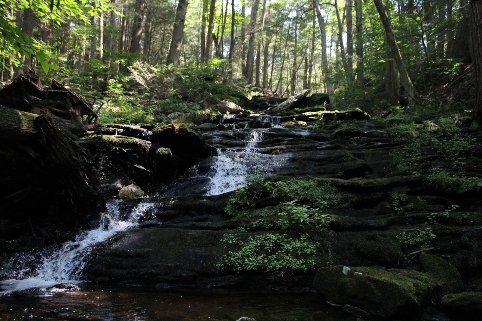 Hiking Trips: Day Pond State Park