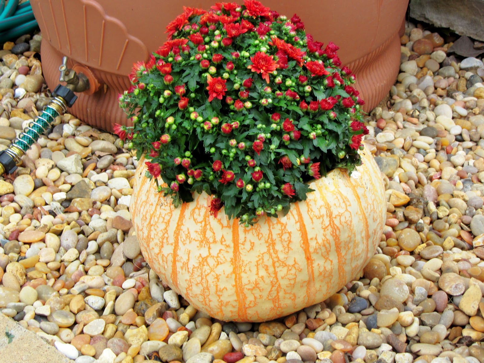 A Man, A Woman, A Harley: Falling for Pumpkin Planters