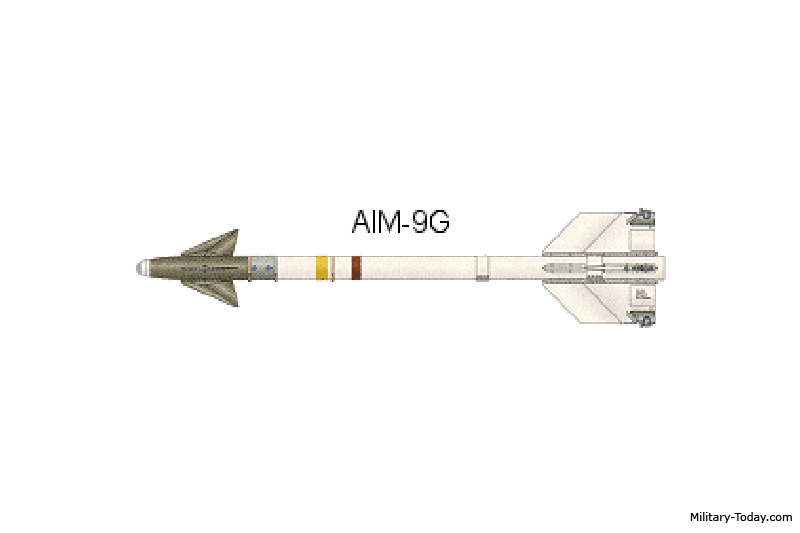 FDRA - Fuerza Aérea: WVRAAM: AIM-9G Sidewinder