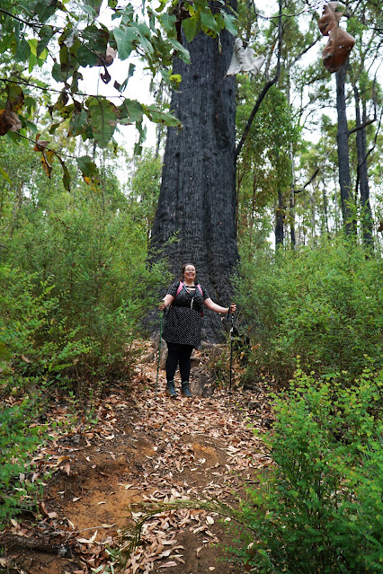King Jarrah Track (Hike & Bike Version) (Lane Poole Reserve) ~ The Long Way's Better