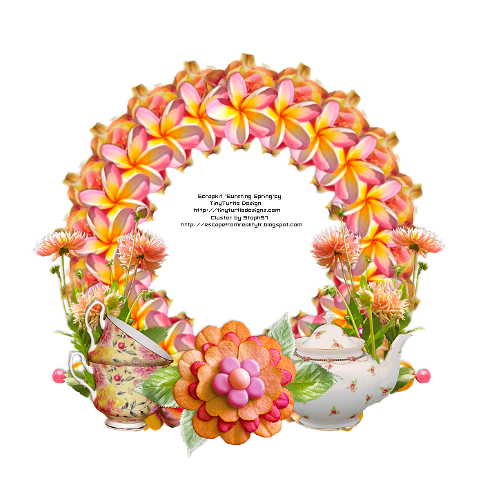 Escape From Reality Blog: FTU 'Bursting Spring' Cluster Frames TTD