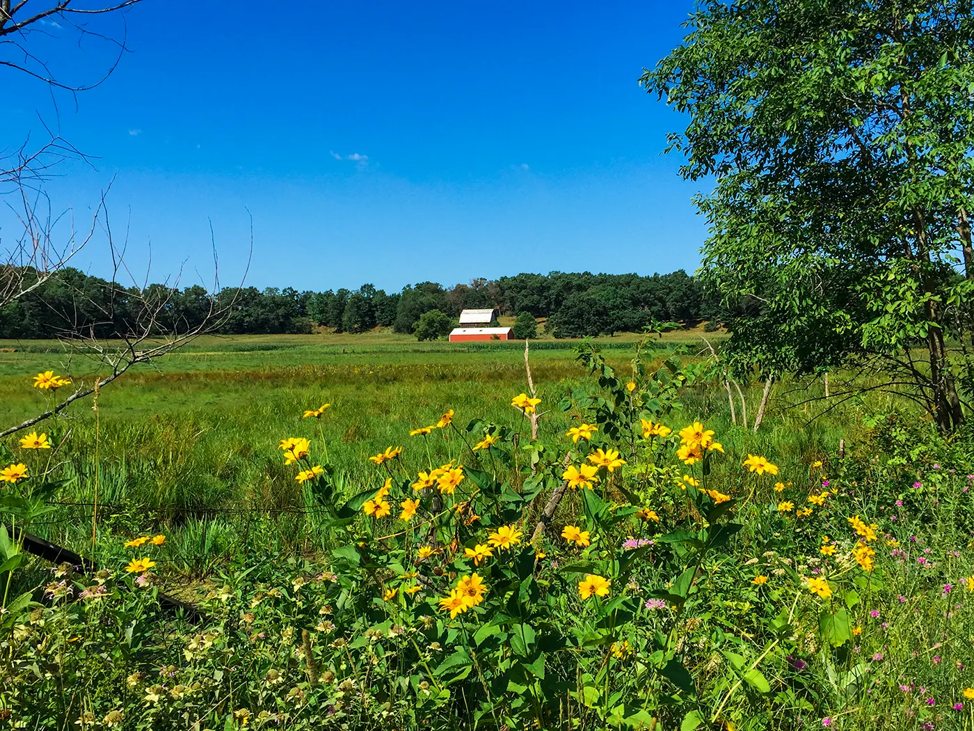 Bicycling The 400 State Trail