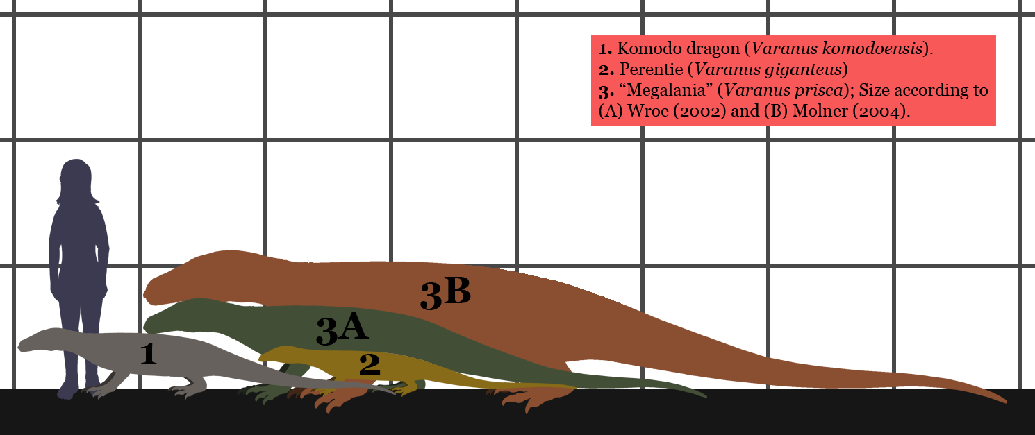 Oberhalb Thoth: Enciclopédia dos Criptideos #11. Megalania.