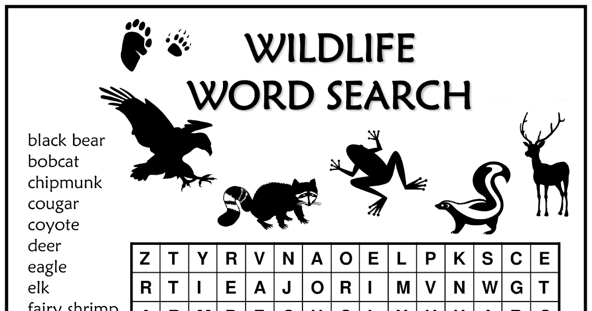 Geography Blog: Wildlife Word Search