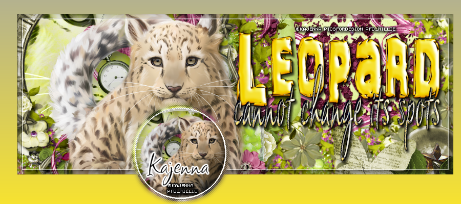 Millie's PSP Madness: Snaggable Timeline Set with Leopard by Kajenna